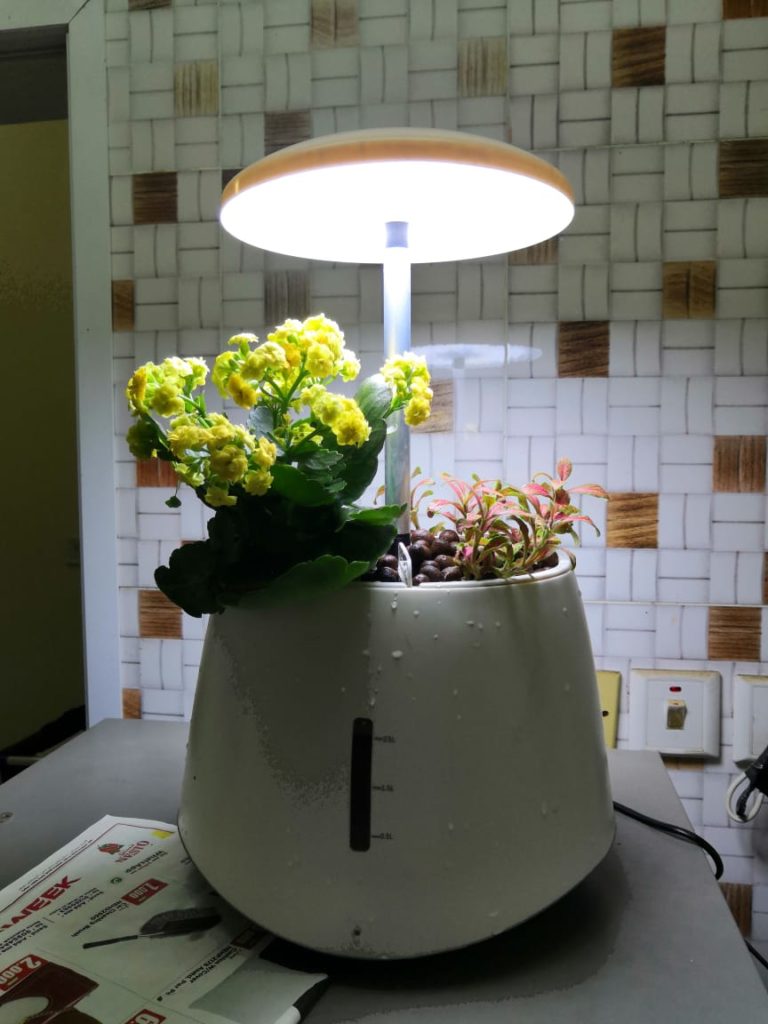 Smart Planter - Beauty | Small Indoor Automatic Planting System (Green ...