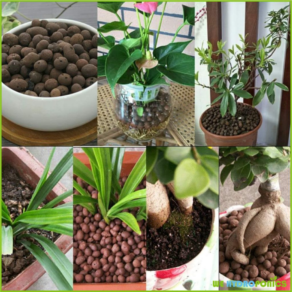 Expanded Clayballs / Hydrotons (LECA) / Clay Pebbles , Floating - WE ...