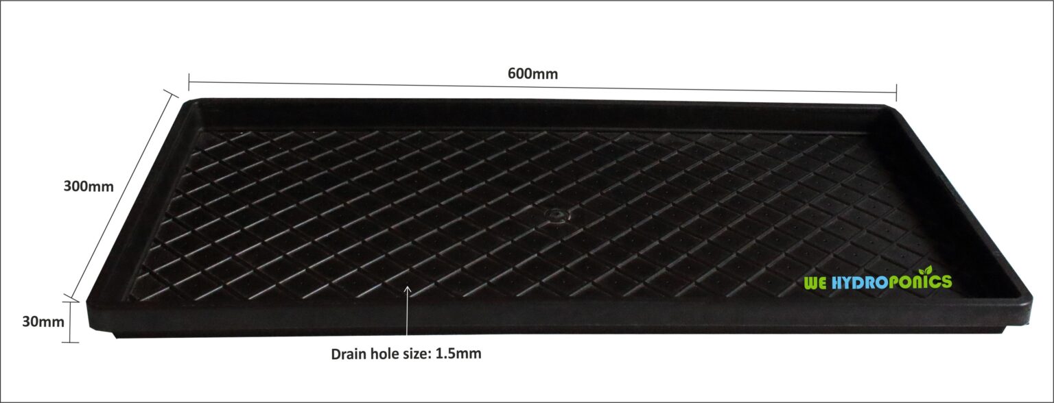 Hydroponics tray / Microgreen tray / wheatgrass tray / seedling tray ...