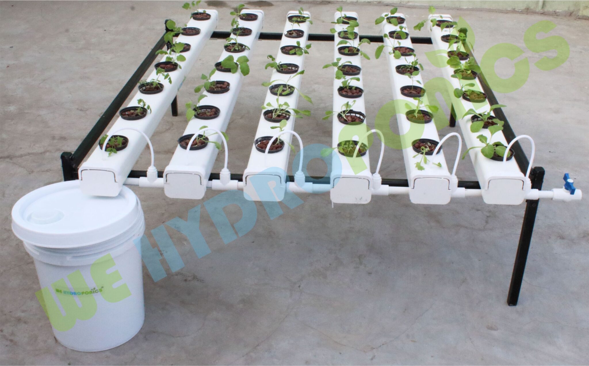 42 Planter - Flat | Home Hydroponics Kit with Complete Accessories ...