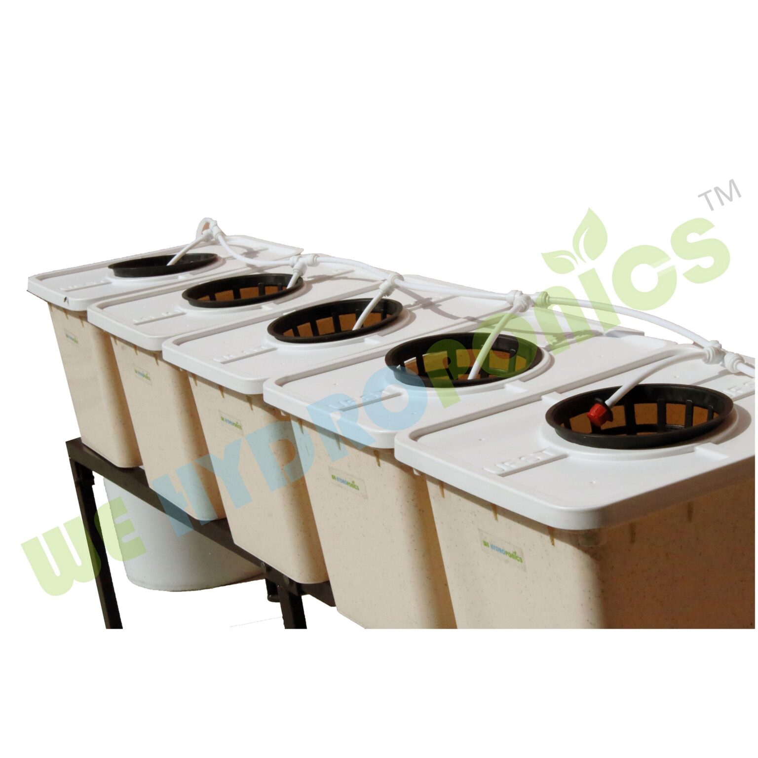 Dutch Bato Buckets Archives - WE Hydroponics