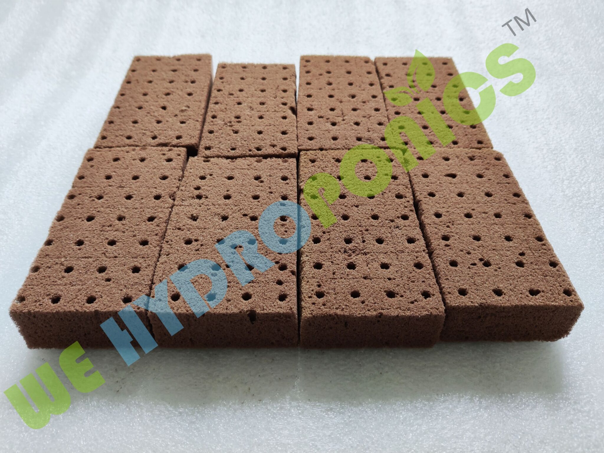 Grow Cubes / Oasis Cubes / Germination cubes - (Small size) - 2.2 x 2 x ...