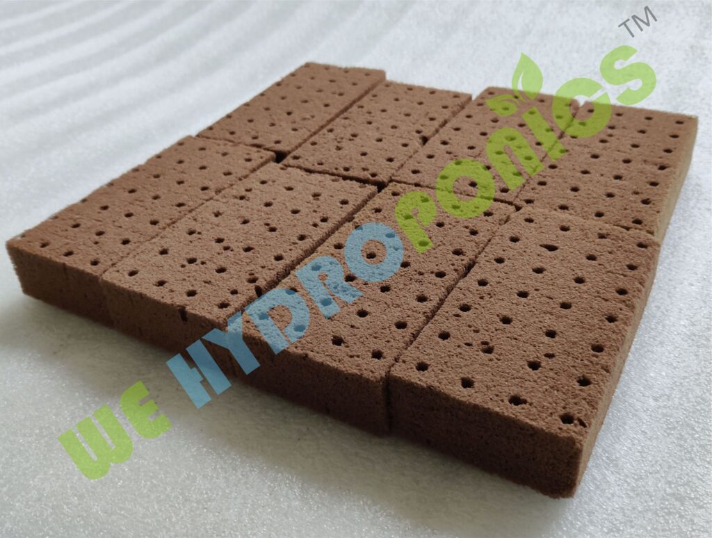 Grow Cubes / Oasis Cubes / Germination cubes - (Small size) - 2.2 x 2 x ...