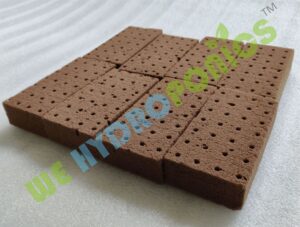 Grow Cubes / Oasis Cubes / Germination cubes - (Small size) - 2.2 x 2 x ...