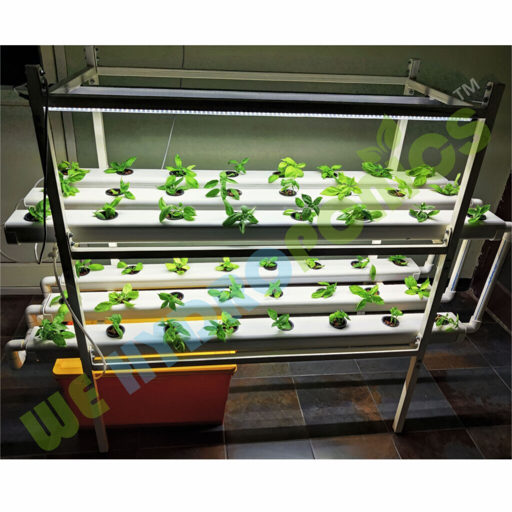Complete Hydroponics Systems - Home Kits Archives - WE Hydroponics