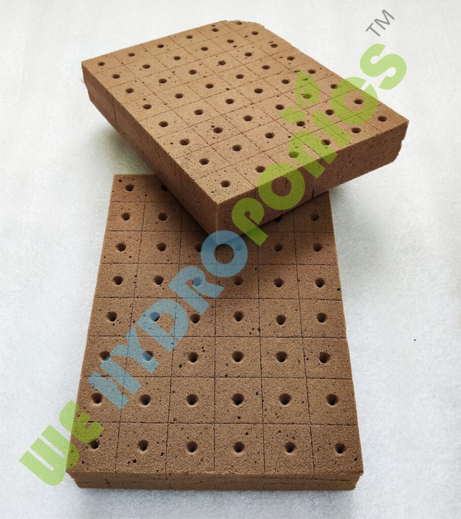 Grow Cubes / Oasis Cubes / Germination cubes - (Big size) - 3.5 x 3.5 x ...