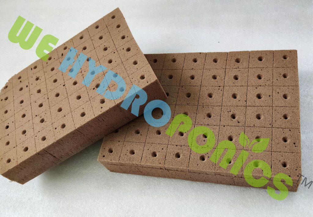 Grow Cubes / Oasis Cubes / Germination cubes - (Big size) - 3.5 x 3.5 x ...