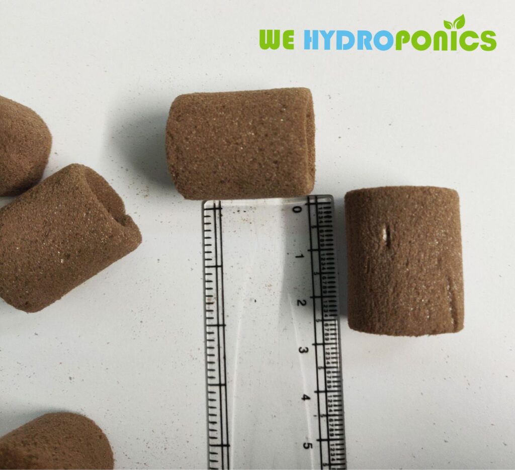 Grow Plugs - Oasis Propagation Medium - WE Hydroponics