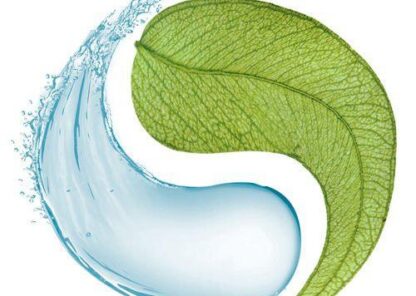 Why Hydroponics is Important? - WE Hydroponics