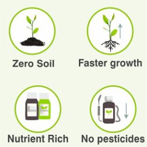 WE Hydroponics Home - WE Hydroponics