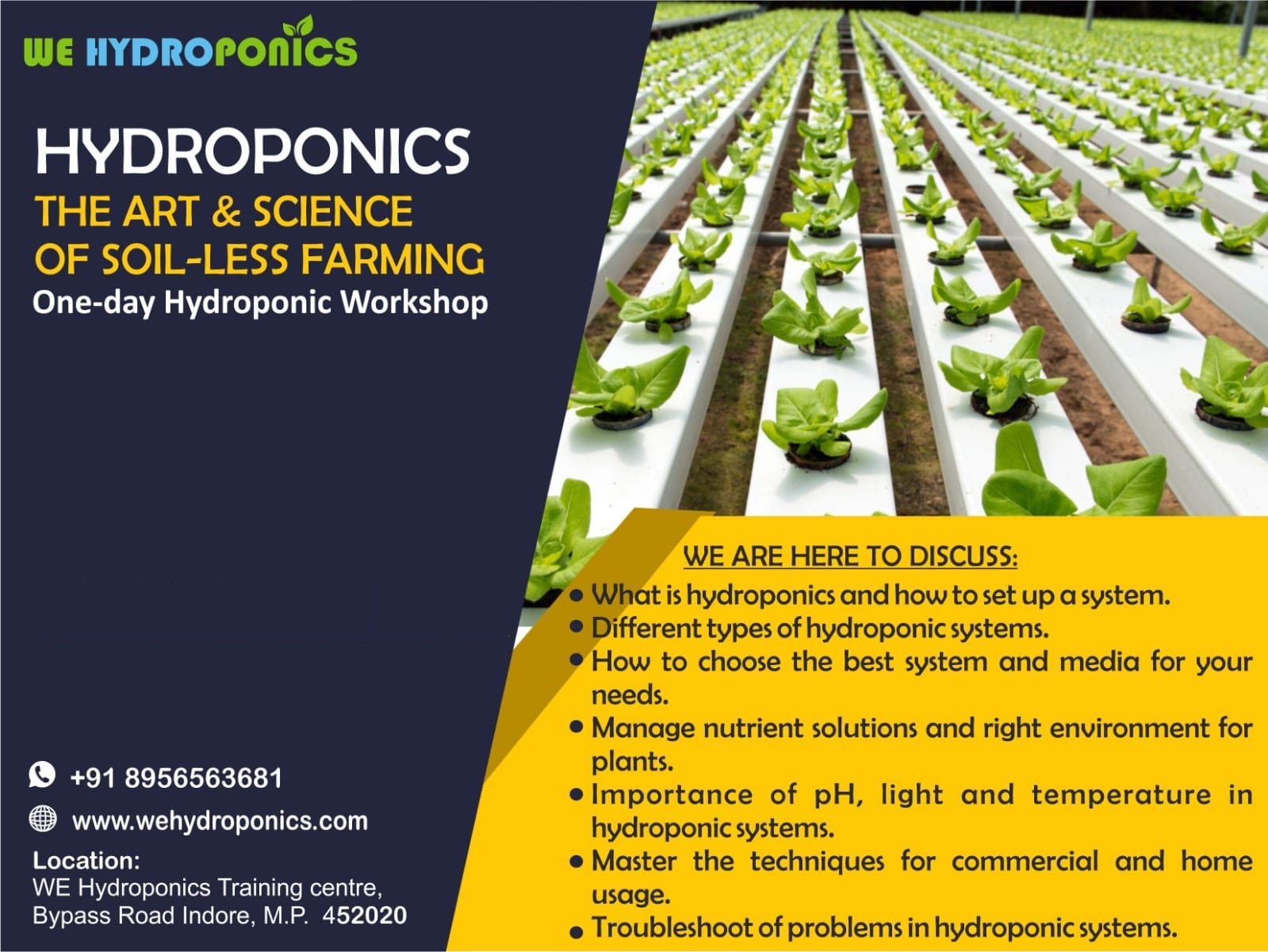 Hydroponic System Problems