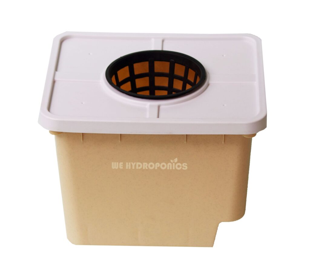 Kratky Bato Bucket System - Settle | Color Beige - WE Hydroponics