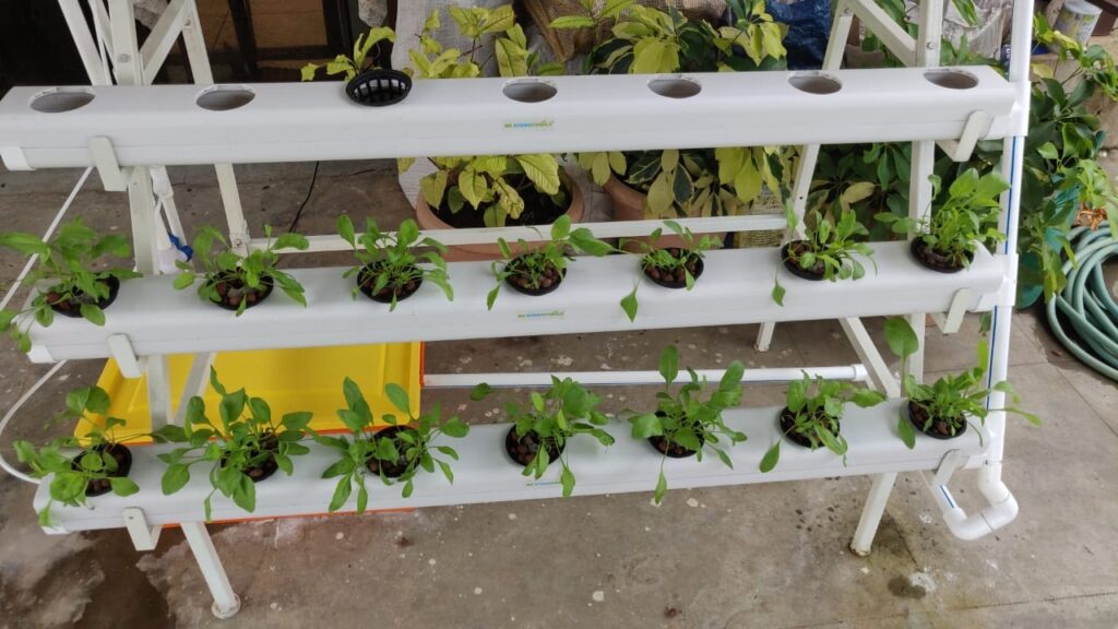 84 Planter - Alpha | Automated Home Hydroponics Kit with Complete ...