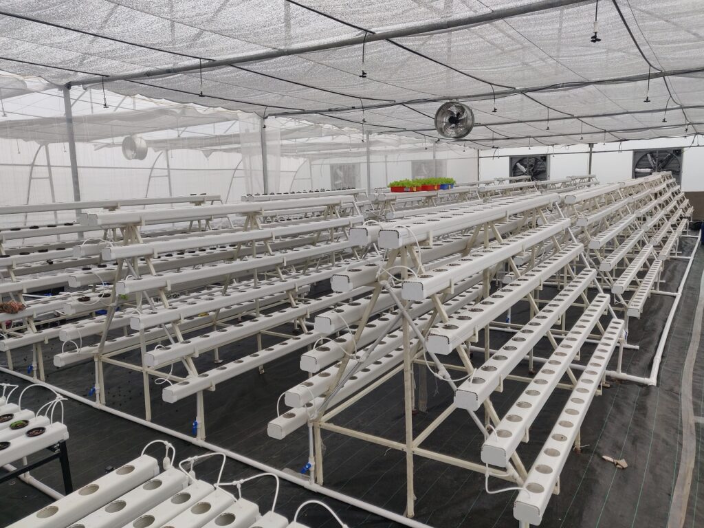 180 Planter - Commercial Beast | commercial Hydroponics Kit with ...