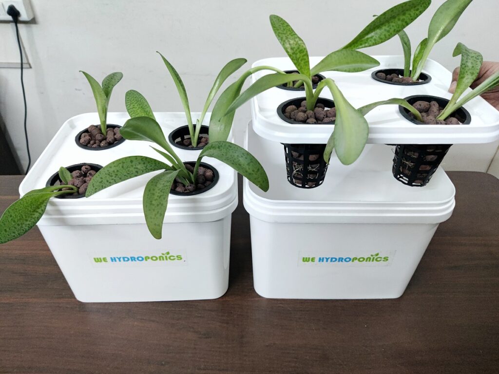 Root Cube 8 - 8 Planter Kratky Square Bucket Kit, Hydroponics System ...