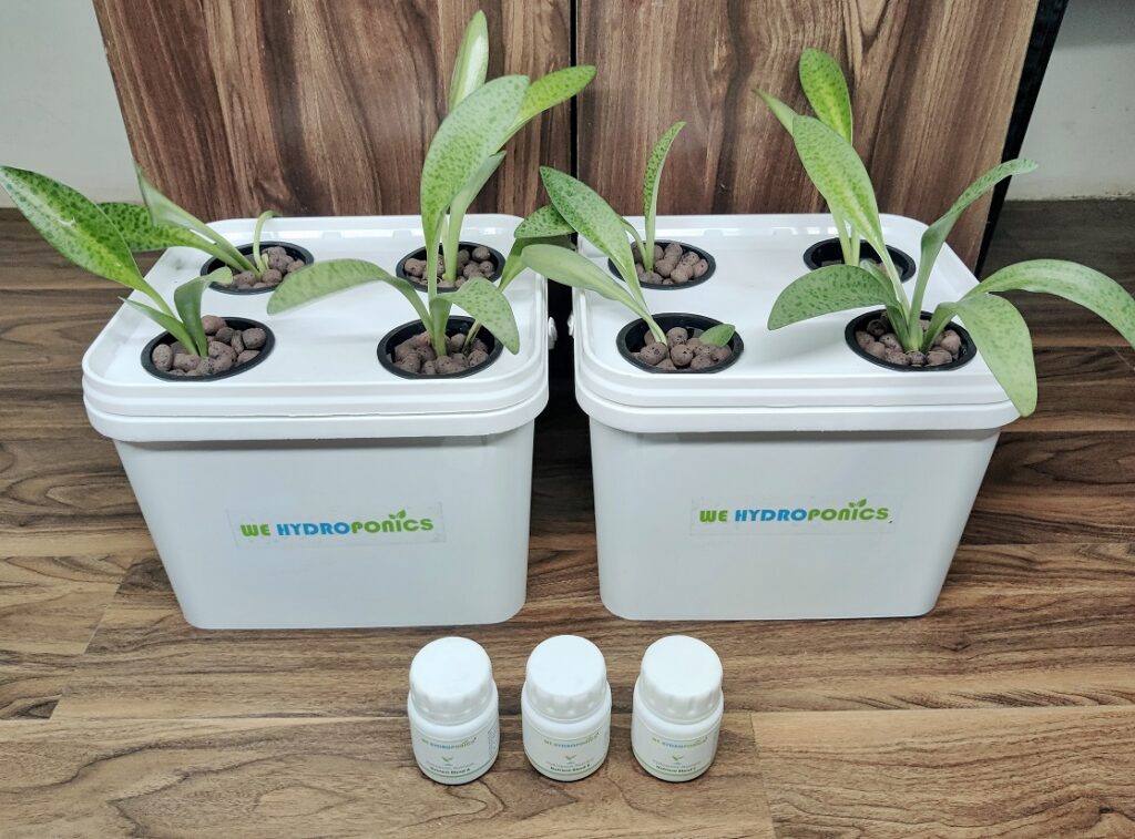 Root Cube 8 - 8 Planter Kratky Square Bucket Kit, Hydroponics System ...