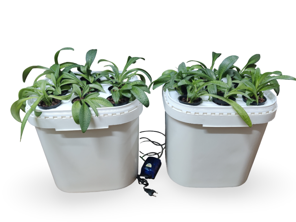 RootCube18 - 18 Planter Kratky Square Bucket Kit, Hydroponics System ...
